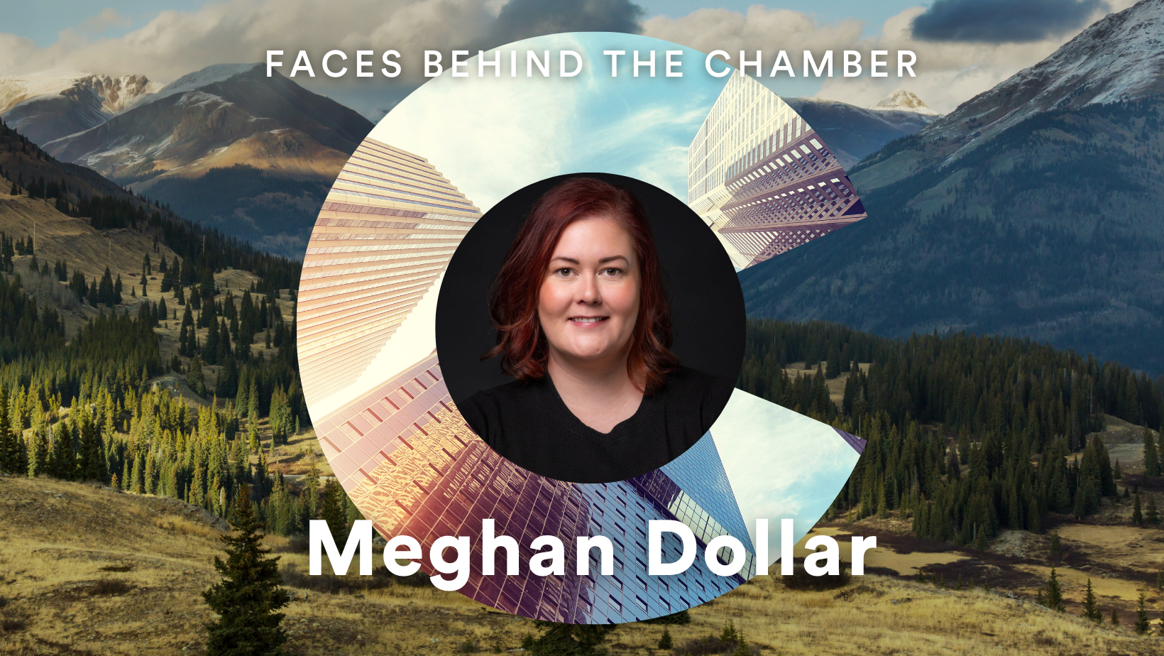 Faces Behind the Chamber – Colorado Chamber of Commerce